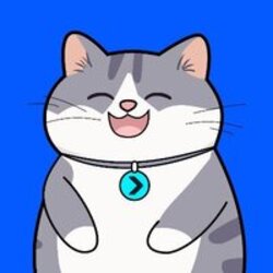 Moew | Crypto Archive