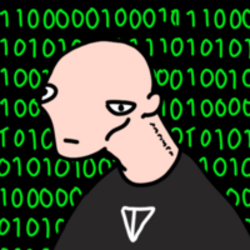 Bald World Order Price Today | BALD Price Chart & Market Cap | Phemex