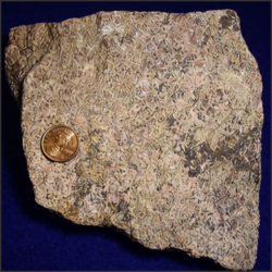 Giá Rare Earth Elements (REEs) Hôm Nay | Biểu Đồ REESCOIN & Vốn Hóa Thị ...