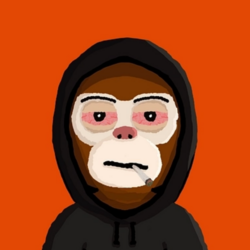 PRIMZ NFT Latest Floor Price, Charts, and Market Cap Data