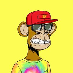 Blast Yacht Ape Club NFT Latest Floor Price, Charts, and Market Cap Data